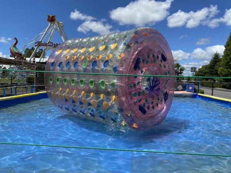 ﾌﾙｰﾂﾌﾗﾜｰﾊﾟｰｸの遊園地で遊んだ感想!料金やランチも紹介! | hanamaruko-blog